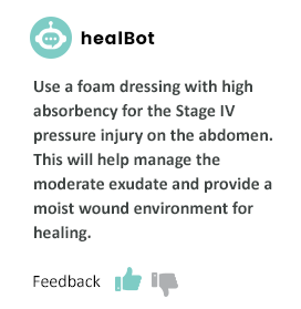 healBot Generative AI for Wound Care
